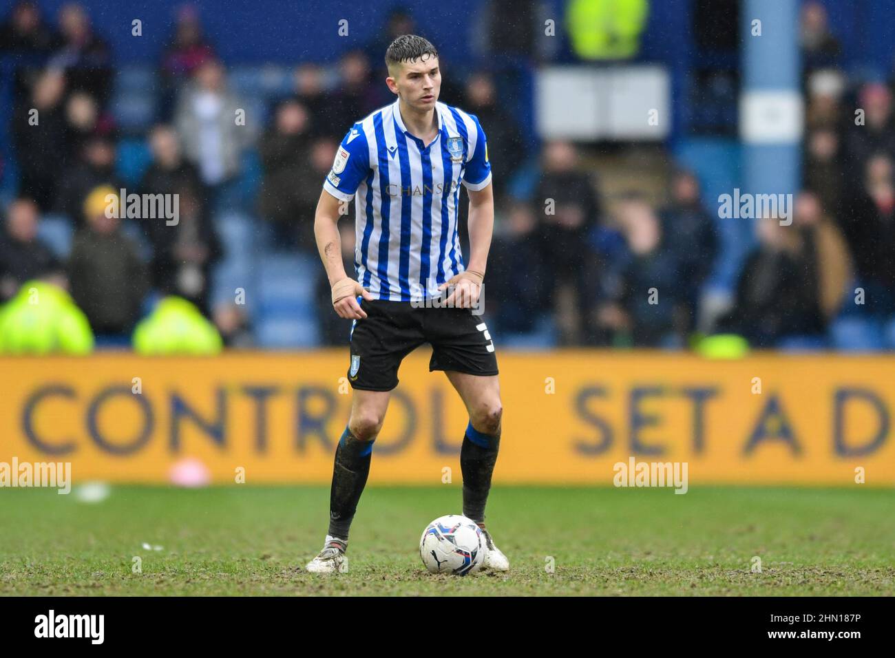 Jordan Storey #38 of Sheffield Wednesday looks for a passing option ...