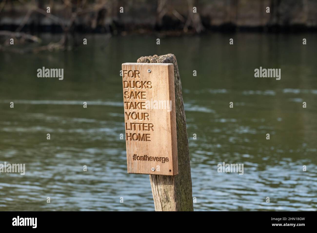 Wooden sign advising against littering in the River Bure at Mayton ...