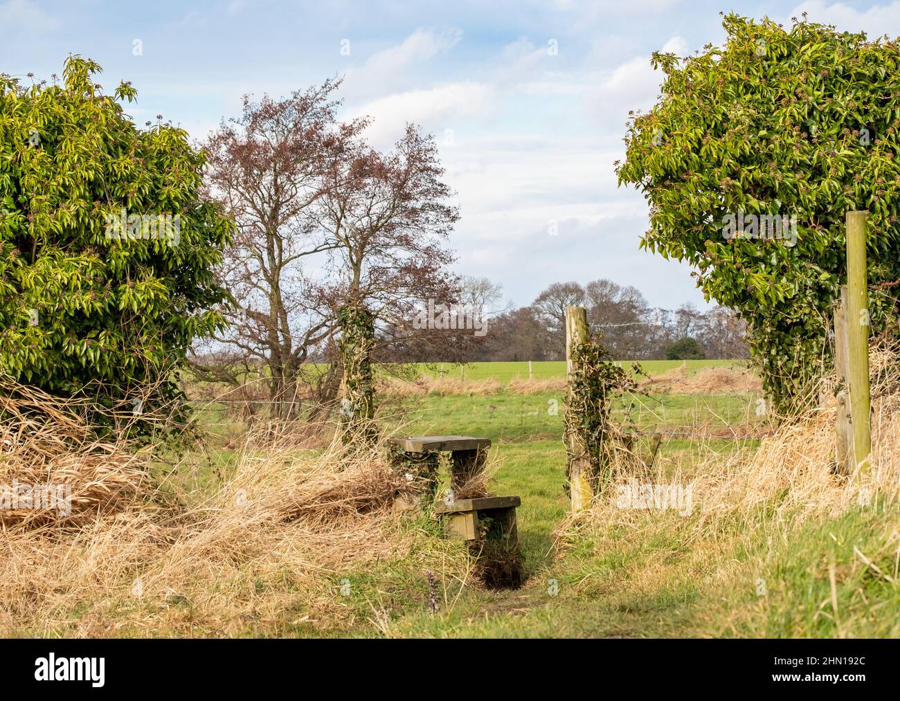 Public footpath along agricultural fields in the Norfolk countryside ...