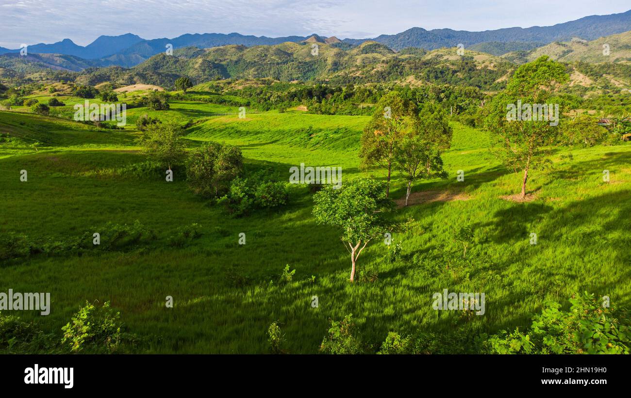 Cattle ranch aerial hi-res stock photography and images - Alamy