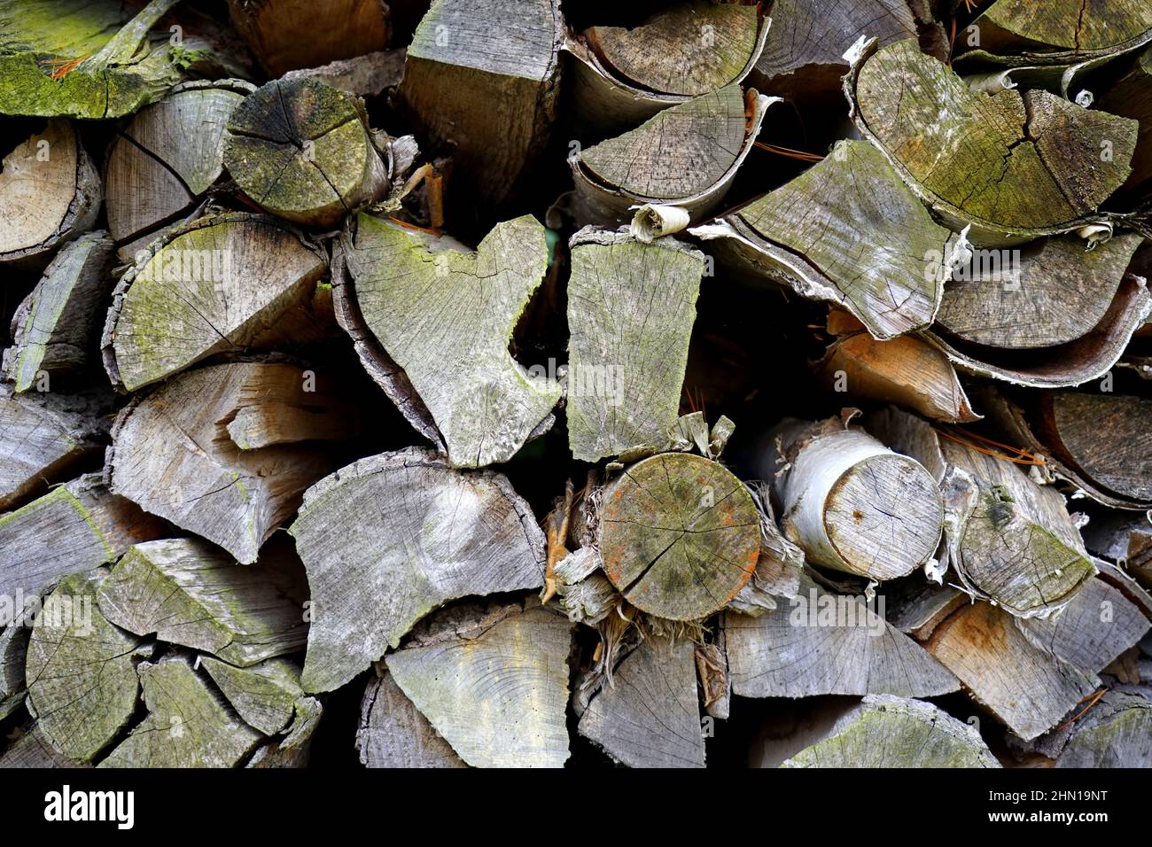 Firewood logs of different types of wood are stacked in the storage ...