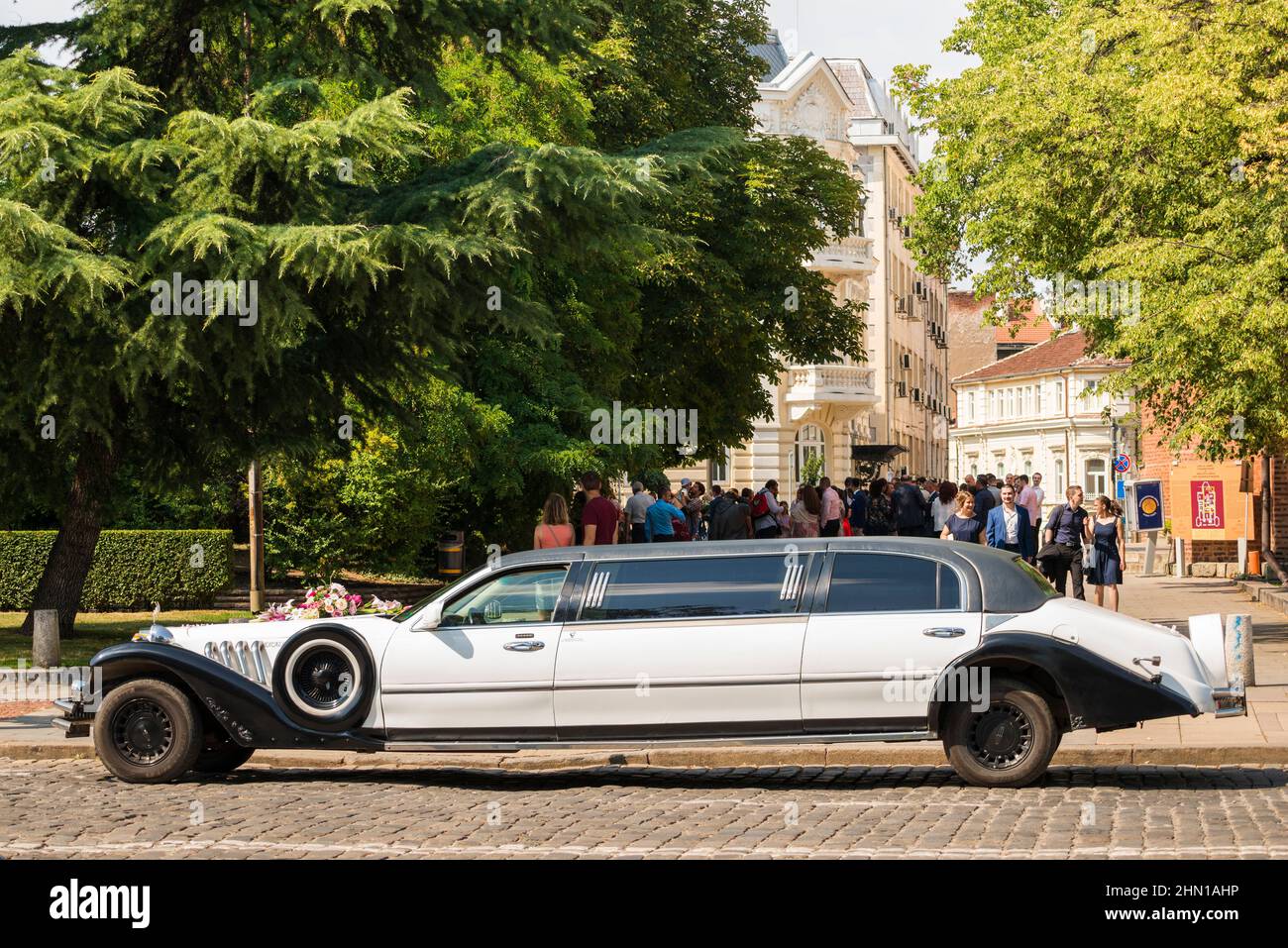Excalibur Live Wedding
