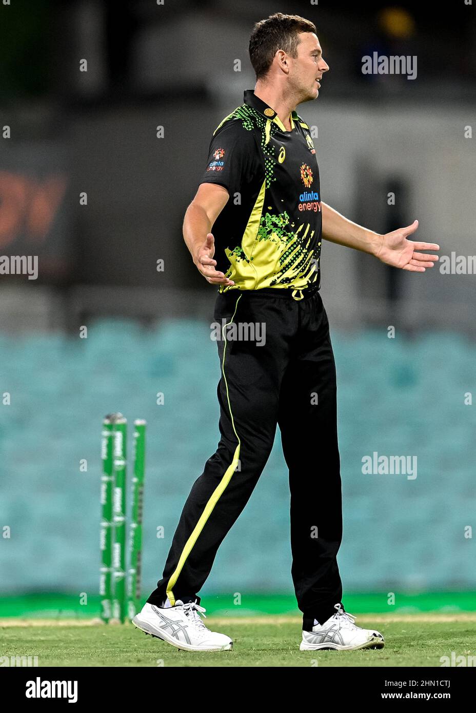 Sydney, Australia. 13th Feb, 2022. Josh Hazelwood of Australia reacts ...