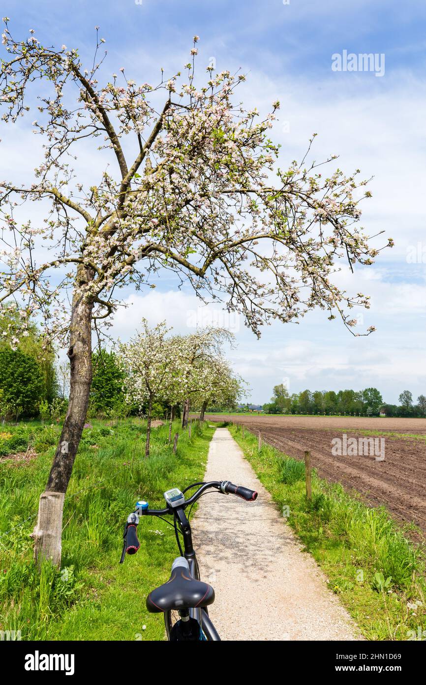Cycling road trip with E-bike in the Netherlands during springtime ...