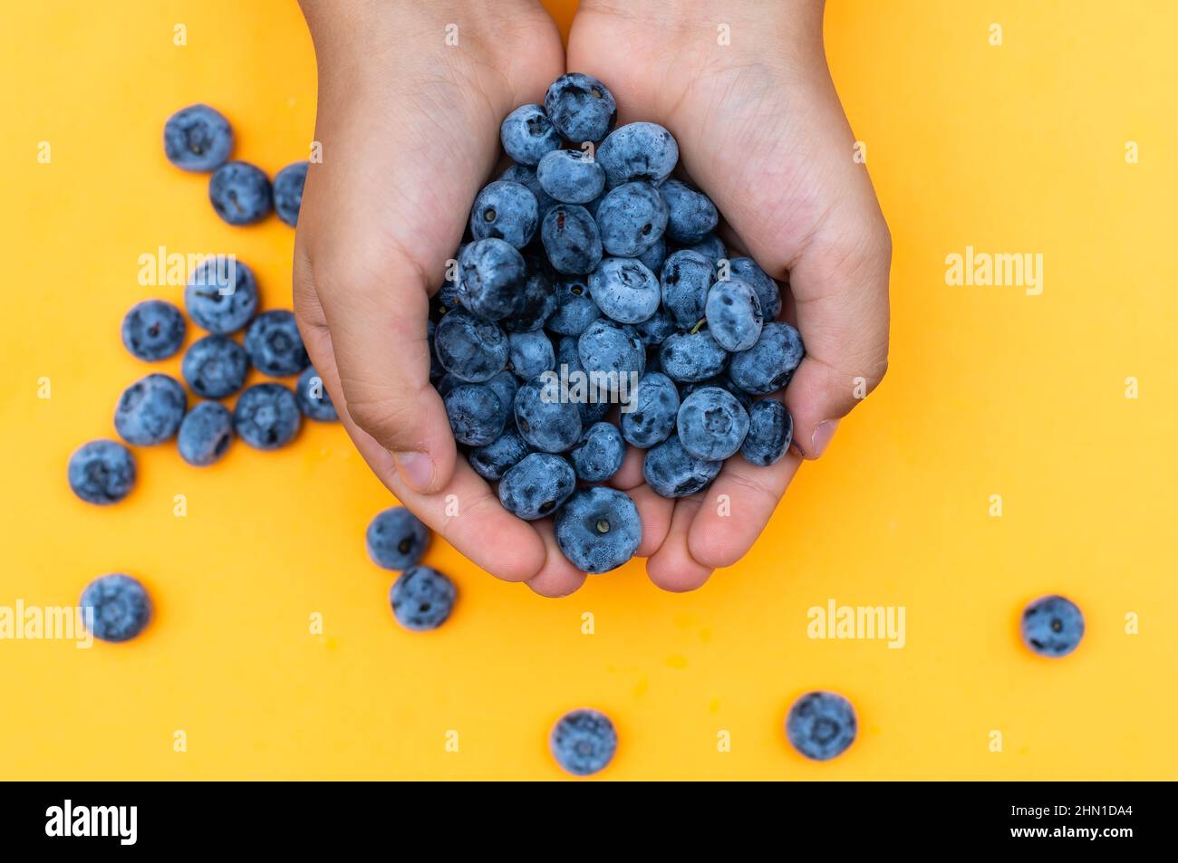 Woman hands hold blueberries. Pop art style Stock Photo - Alamy