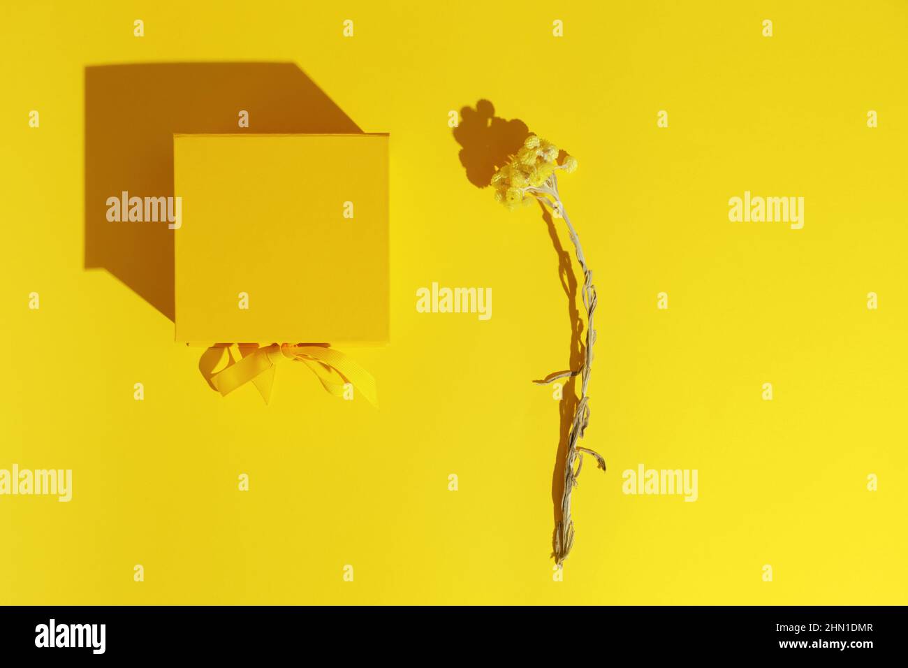 Bright yellow gift box with ribbon bow and Yellow flowers of ...