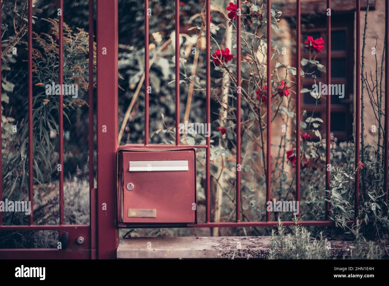 Post box with blooming roses. Autumn mood Stock Photo - Alamy