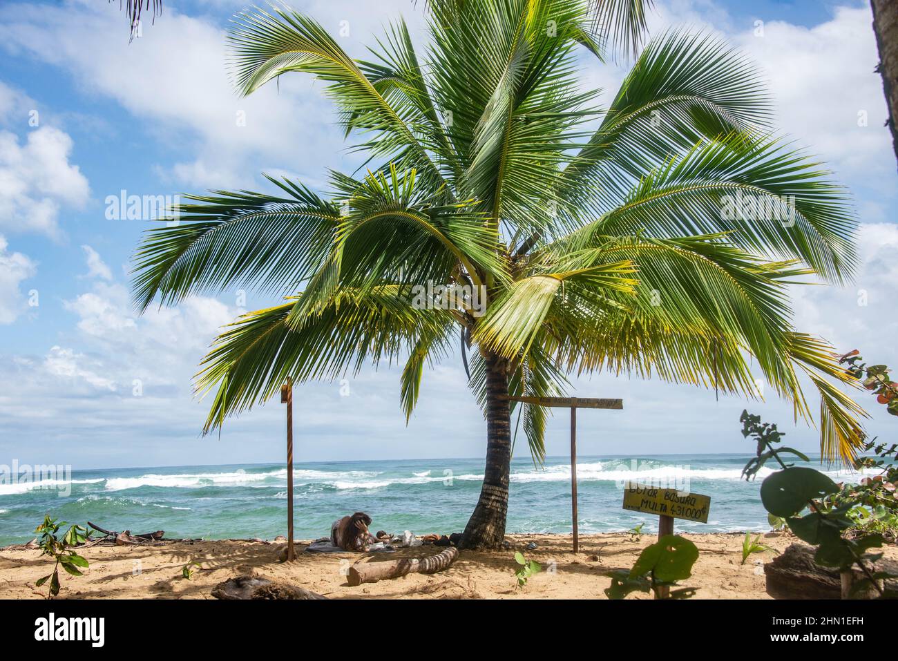 Beautiful tropical Punta Uva Beach, Limon, Costa Ric Stock Photo - Alamy