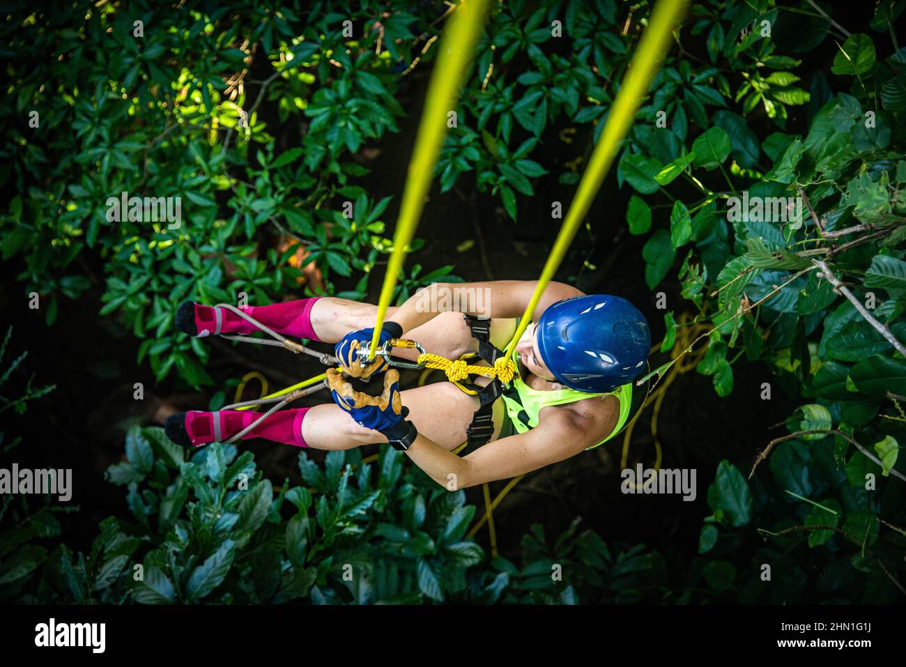 Climbing a rope to a jungle treehouse, Manzanillo, Costa Rica Stock ...