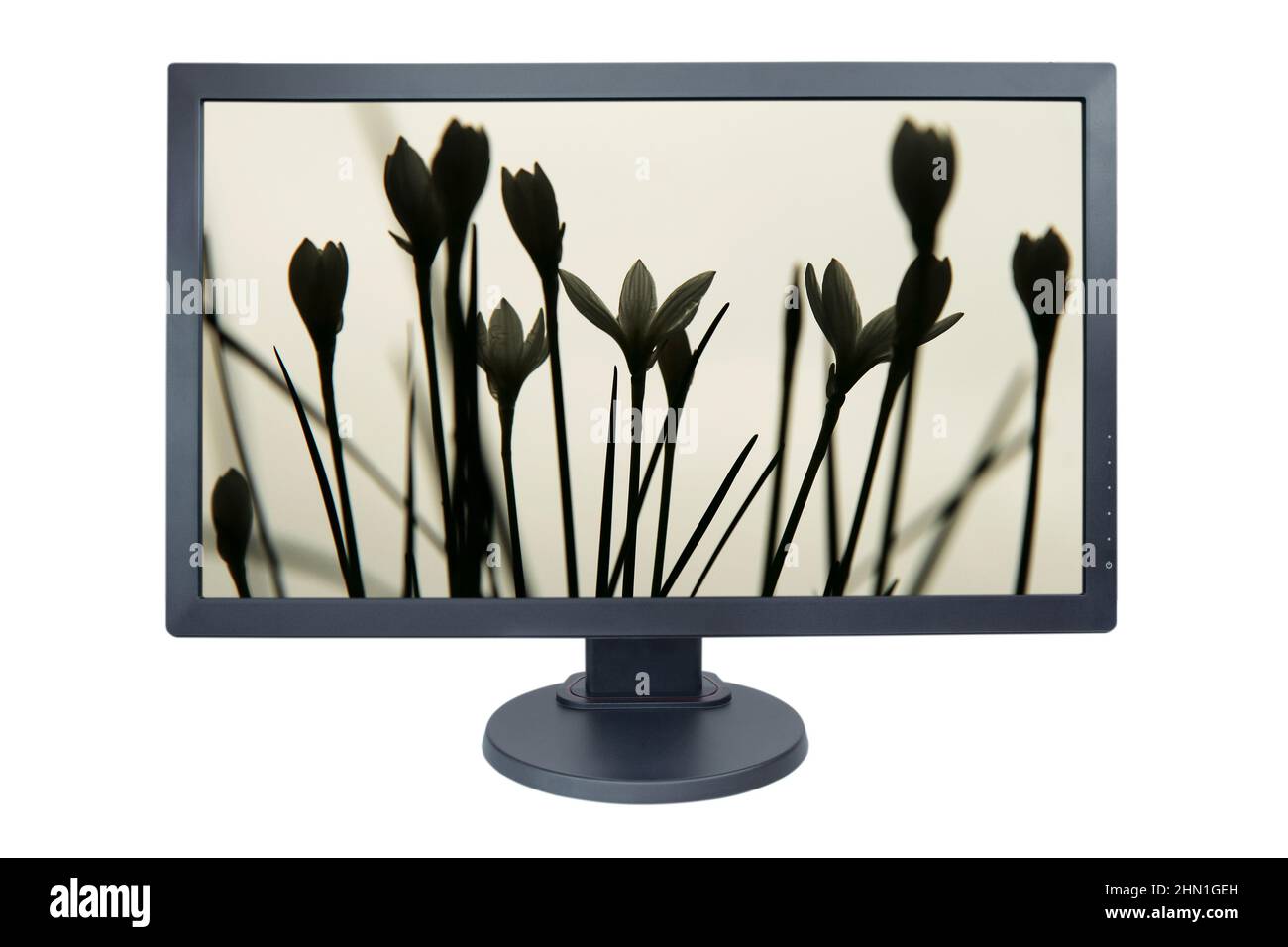 Computer monitor isolated on white with screensaver running Stock Photo ...