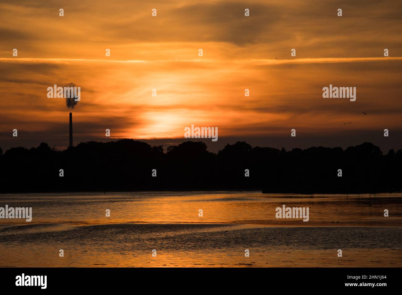 Damhus hi-res stock photography and images - Alamy