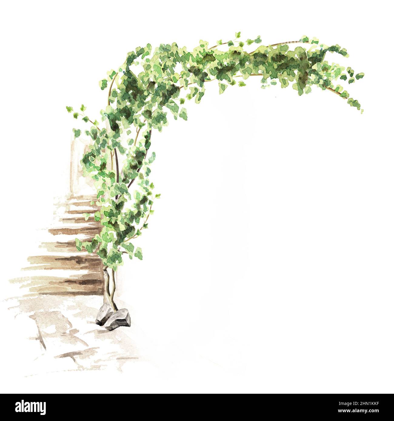 Ivy plant arch, Hand drawn watercolor illustration isolated on white ...