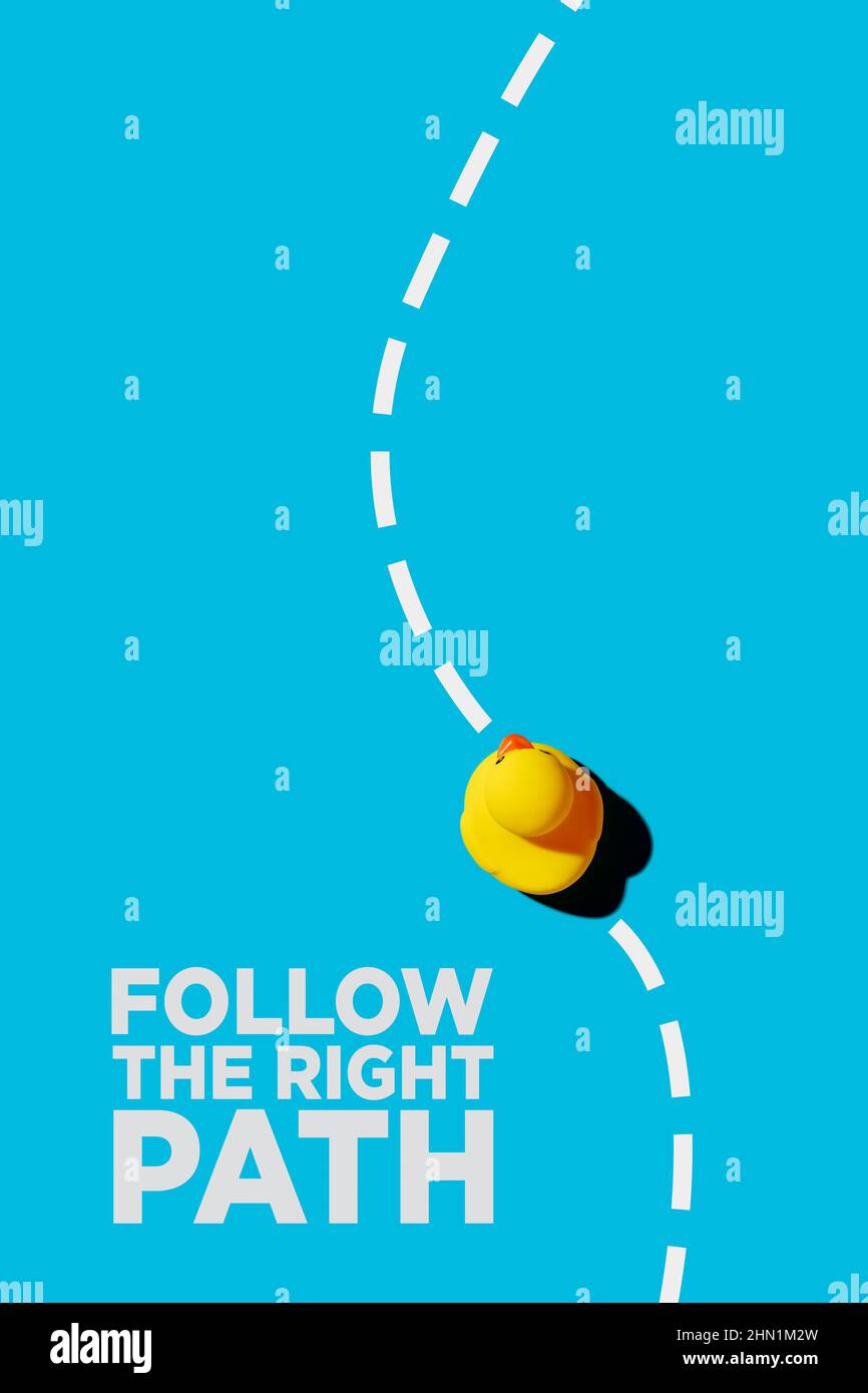 Yellow toy rubber duck follows the guidelines on the road. Following ...