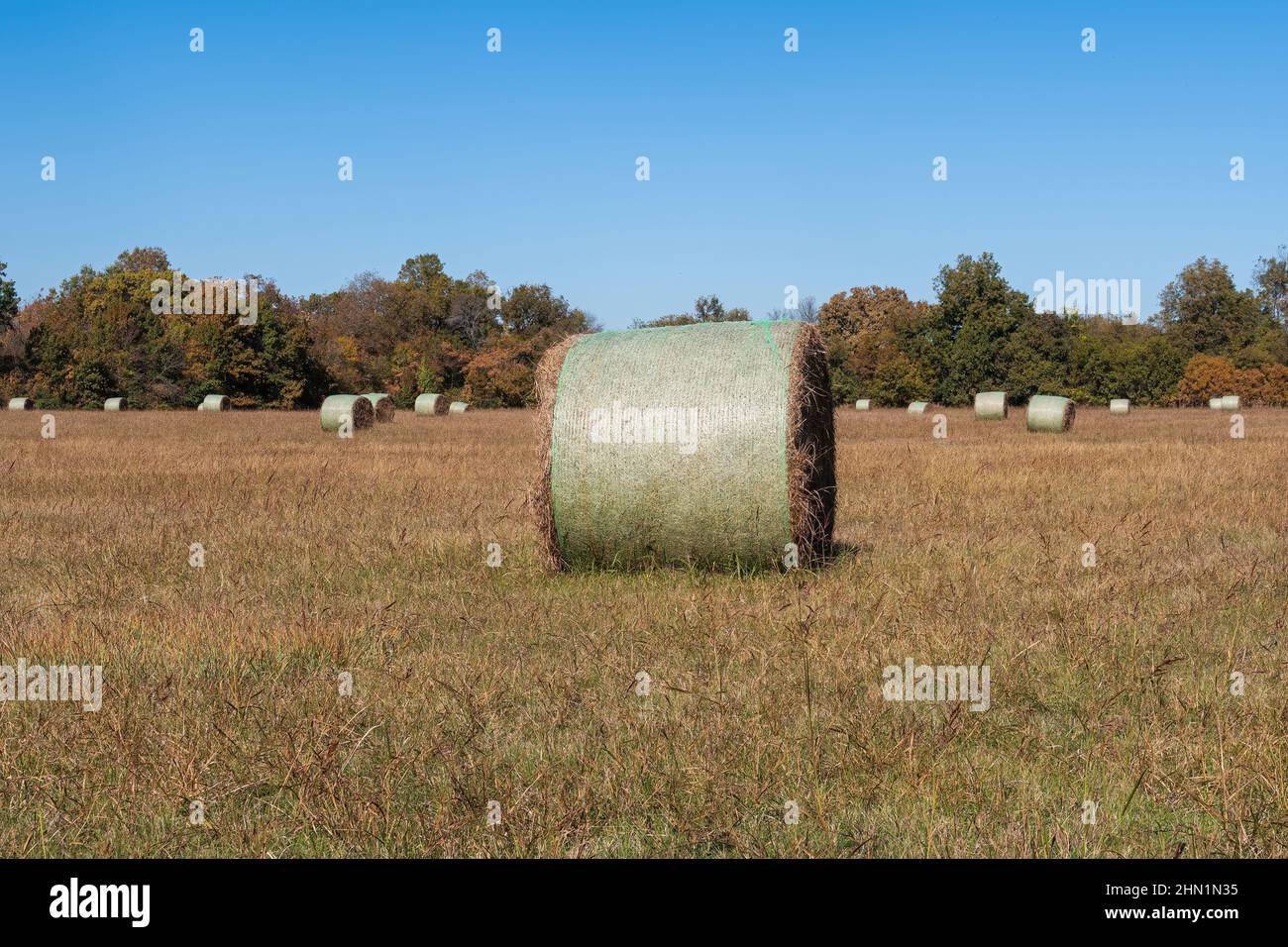 Hay bale large hi-res stock photography and images - Alamy
