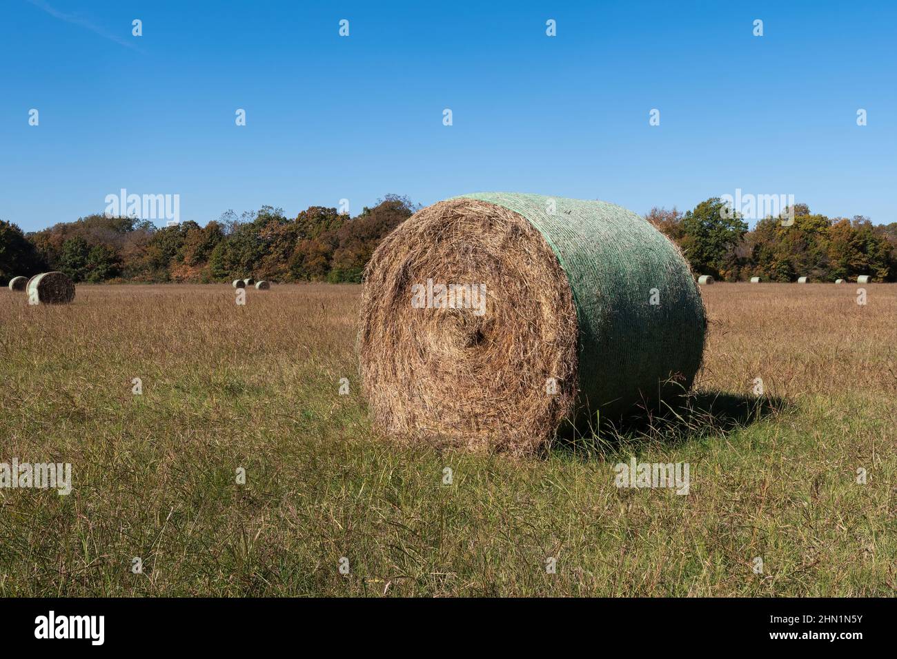 A large, round bale of hay sitting in a farm meadow on a sunny ...