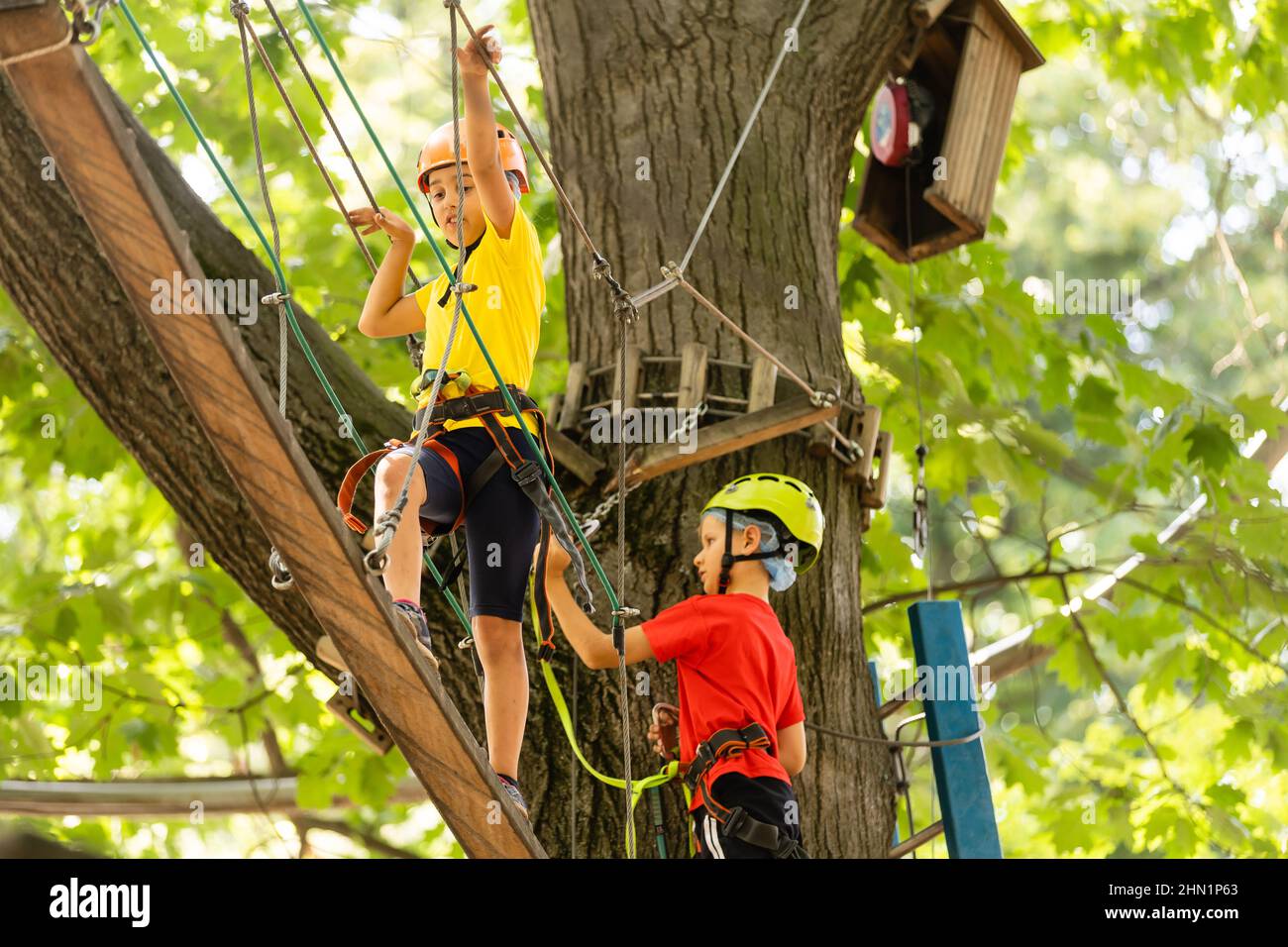 Happy child climbing in the trees. Rope park. Climber child. Early ...