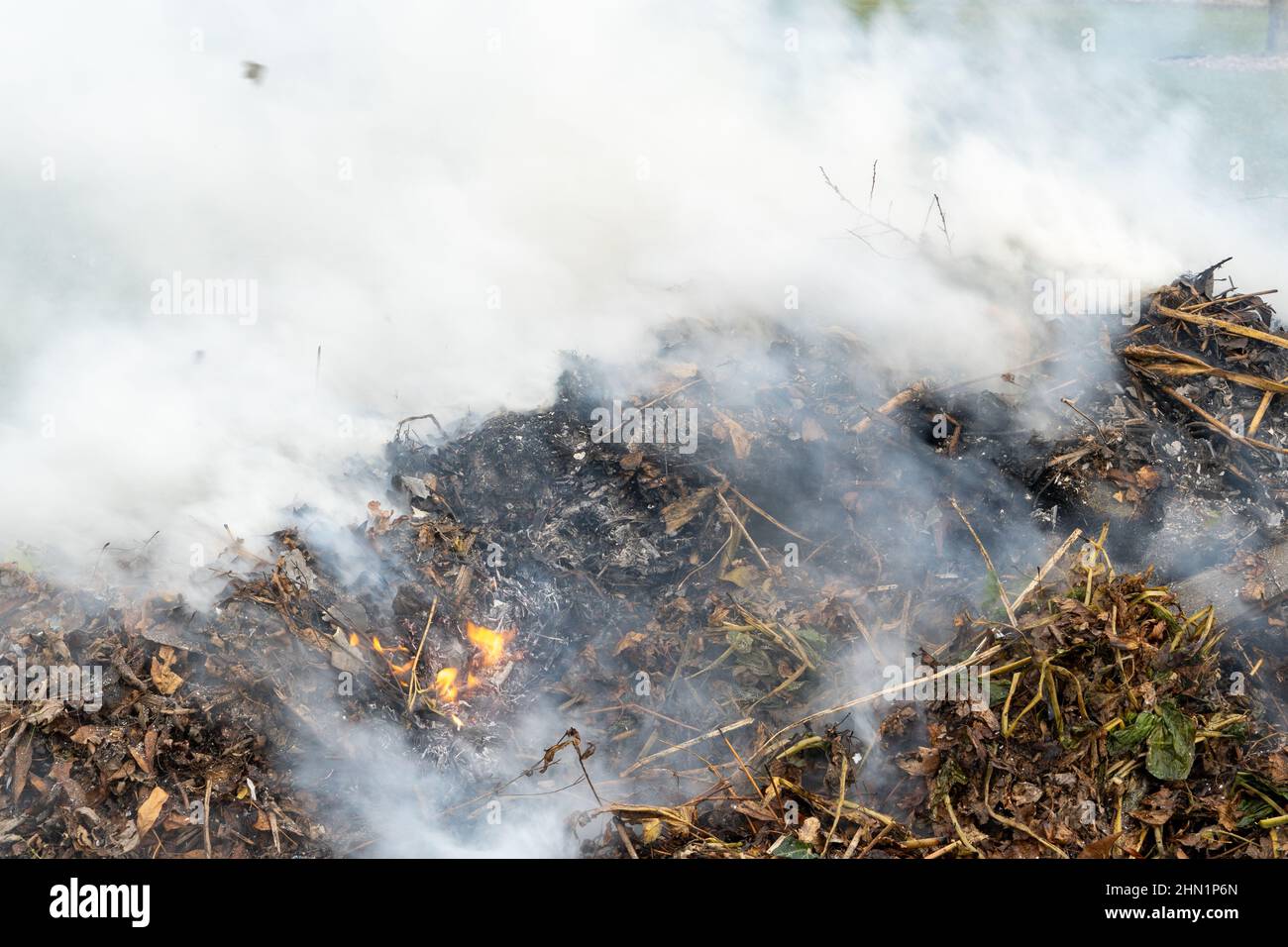 Thick smoke coming off a wildfire burning in a rural area causing ...