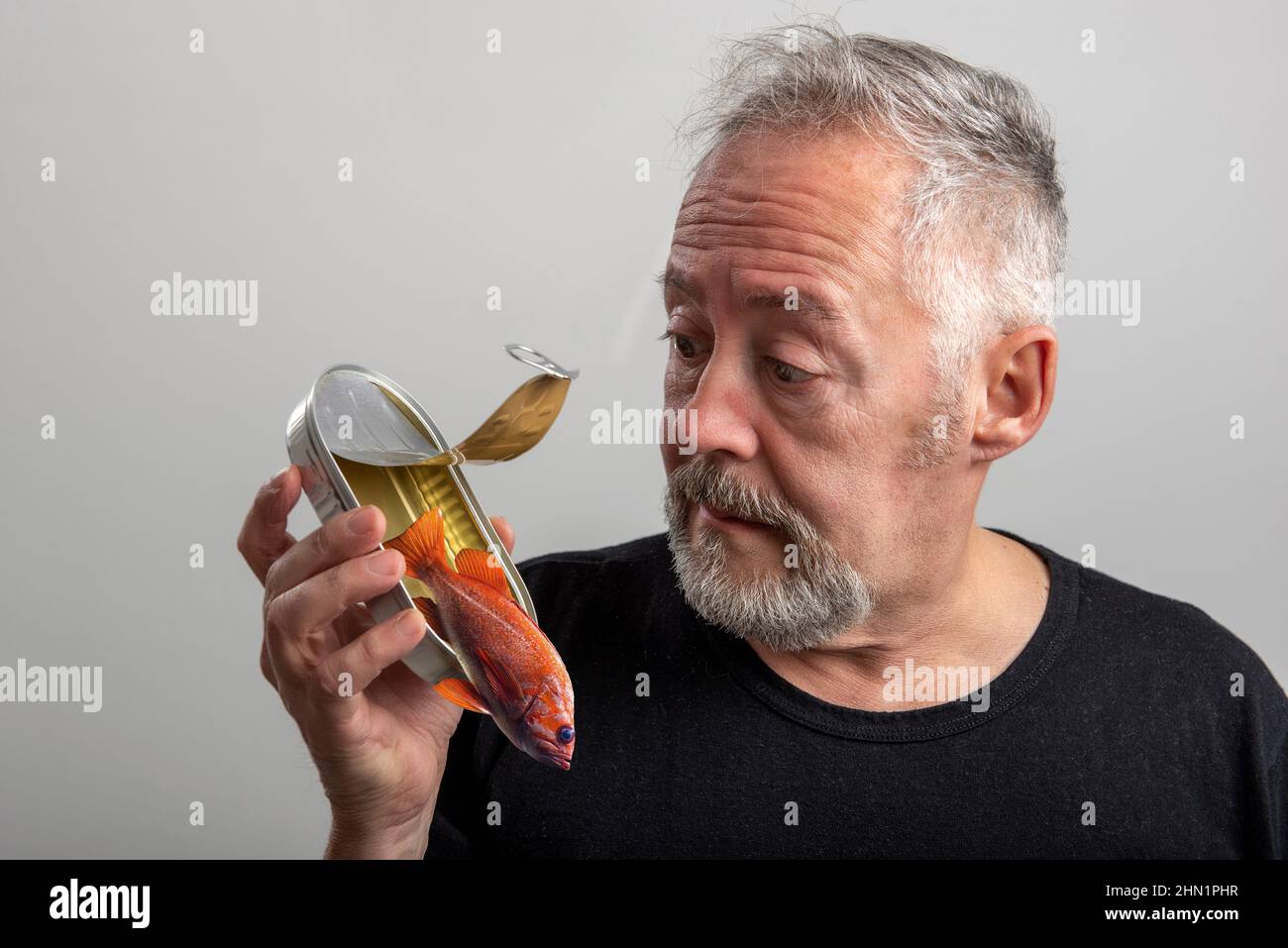 Ted Fish's Instagram, Twitter & Facebook on IDCrawl