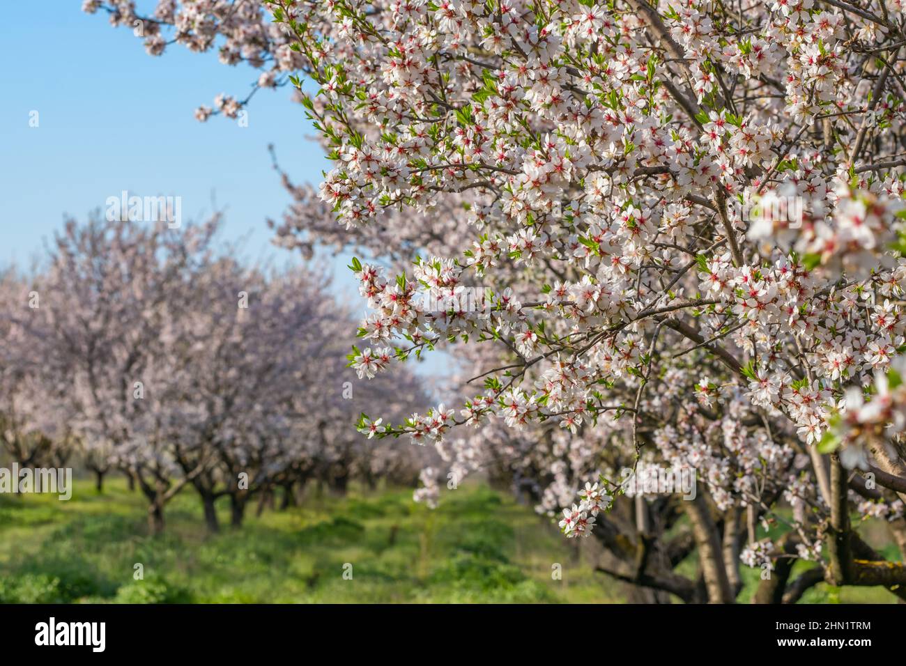 Beautiful nature scene hi-res stock photography and images - Alamy