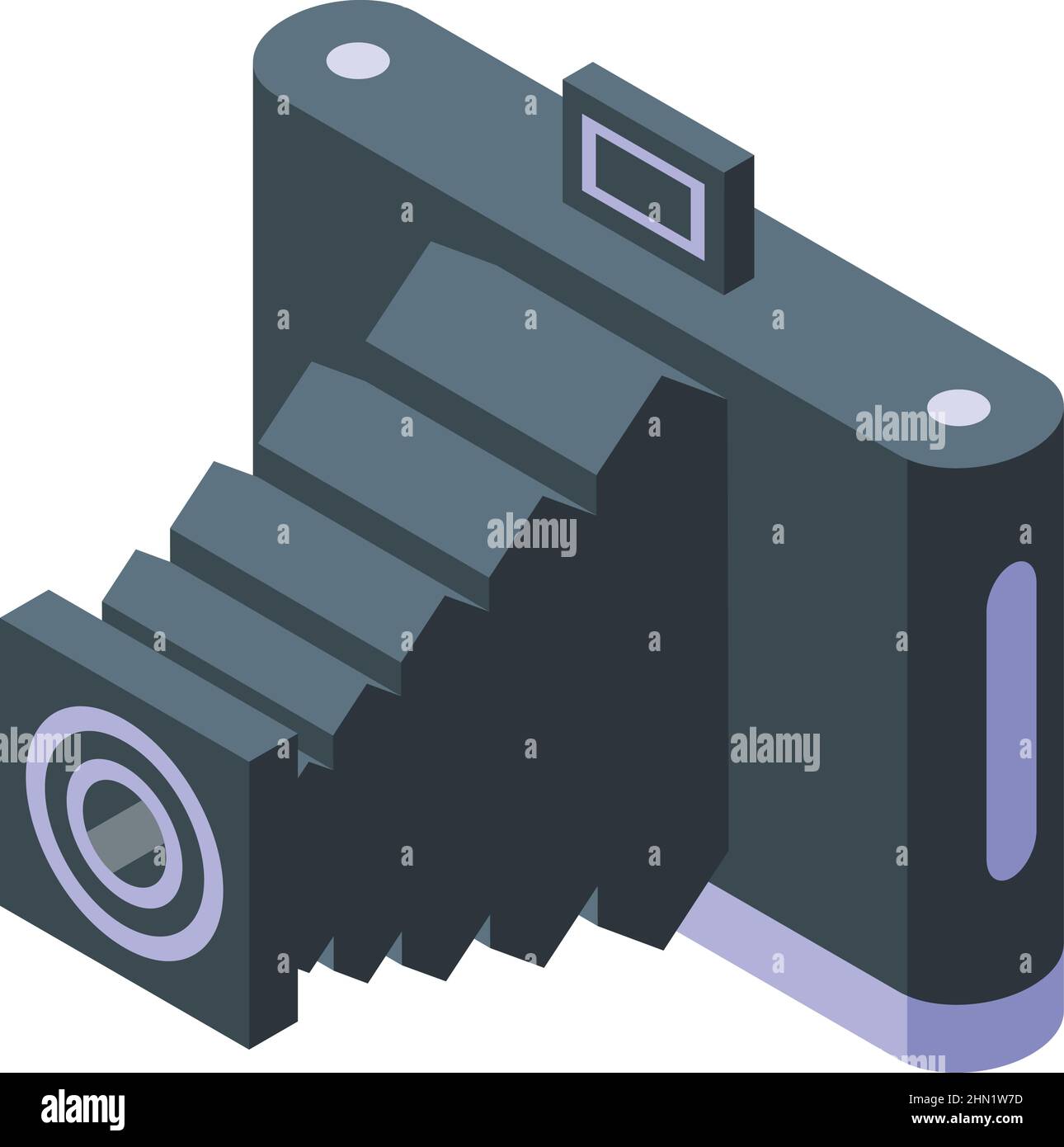 Photo camera memory icon isometric vector. Frame flash. Digital picture ...