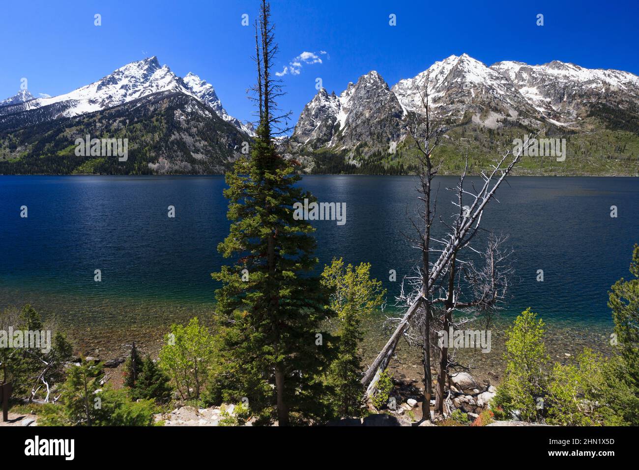 Jenny lake mountains grand hi-res stock photography and images - Alamy