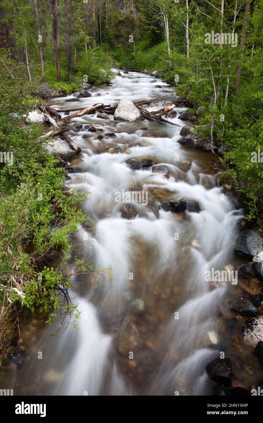 Lake Creek, traversing the Moose Wilson road, Grand Teton NP, Wyoming ...