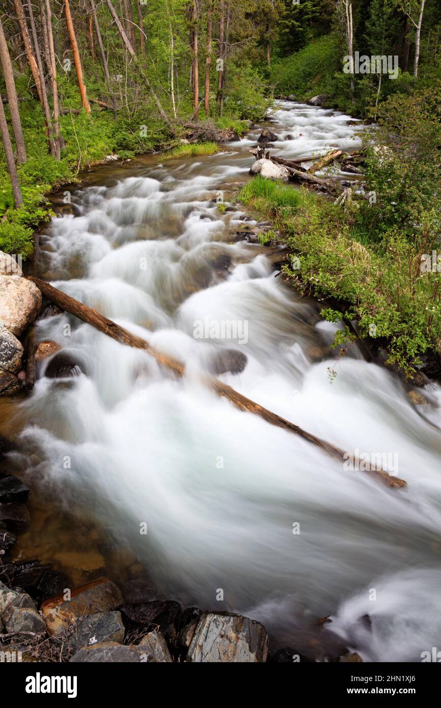 Lake Creek, traversing the Moose Wilson road, Grand Teton NP, Wyoming ...