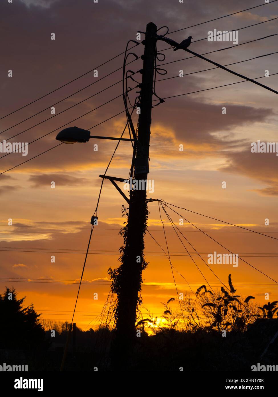 Overgrown street light in Radley Village at sunrise g2 Stock Photo - Alamy
