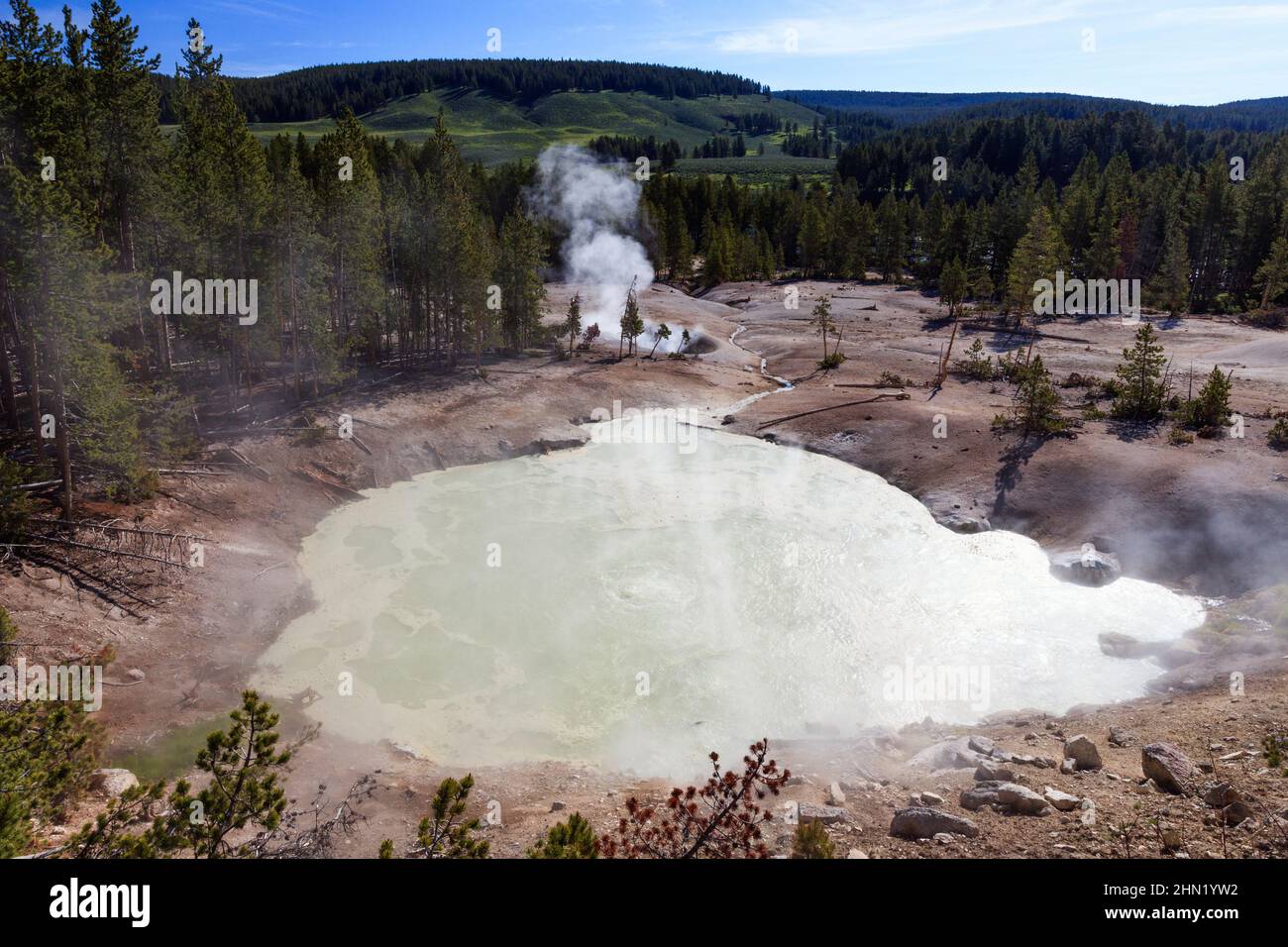 Acid Springs in Sulphur Caldron, Yellowstone NP, Wyoming Stock Photo ...