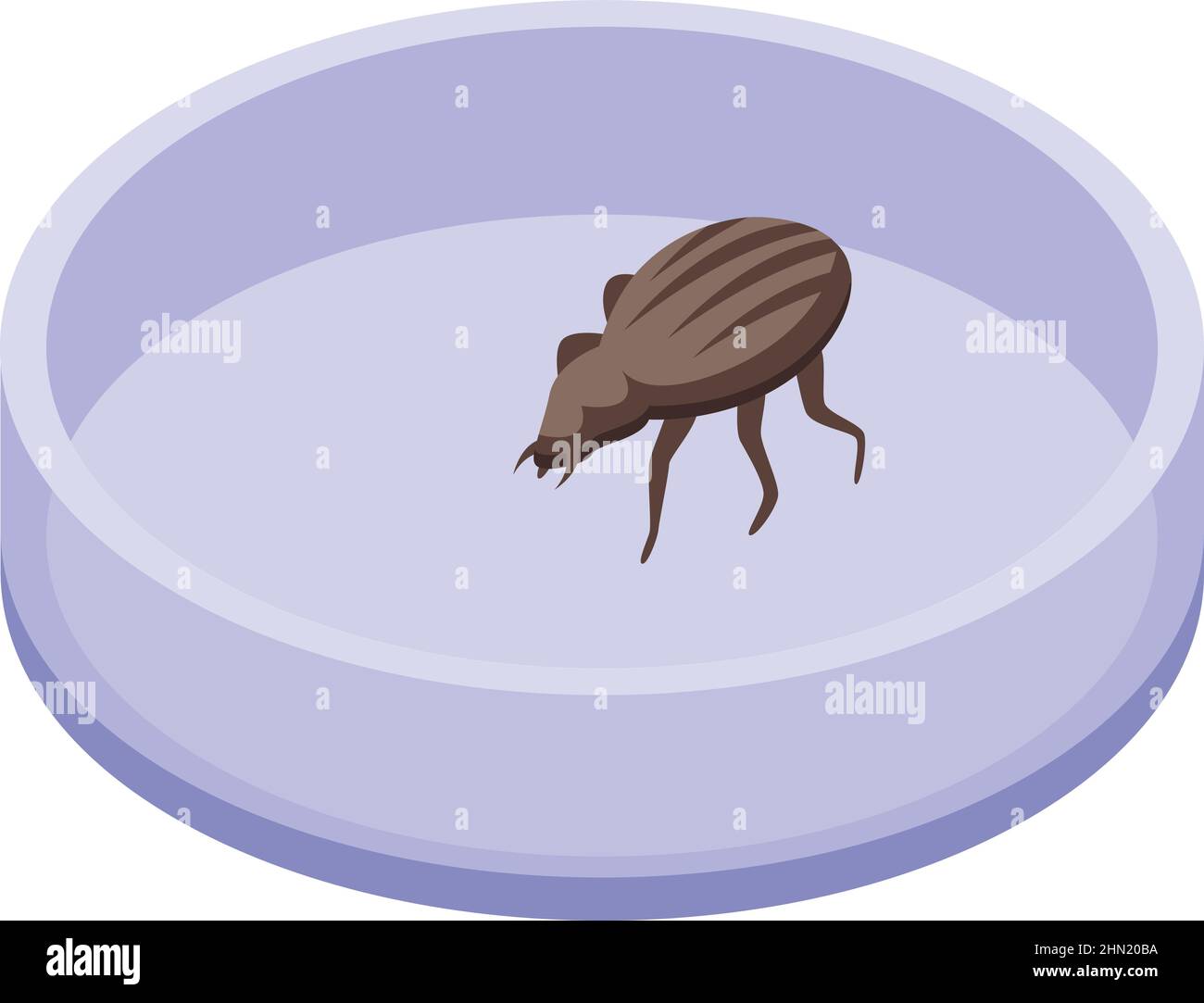 Lab bug icon isometric vector. Chemical control. Pesticide insect Stock ...