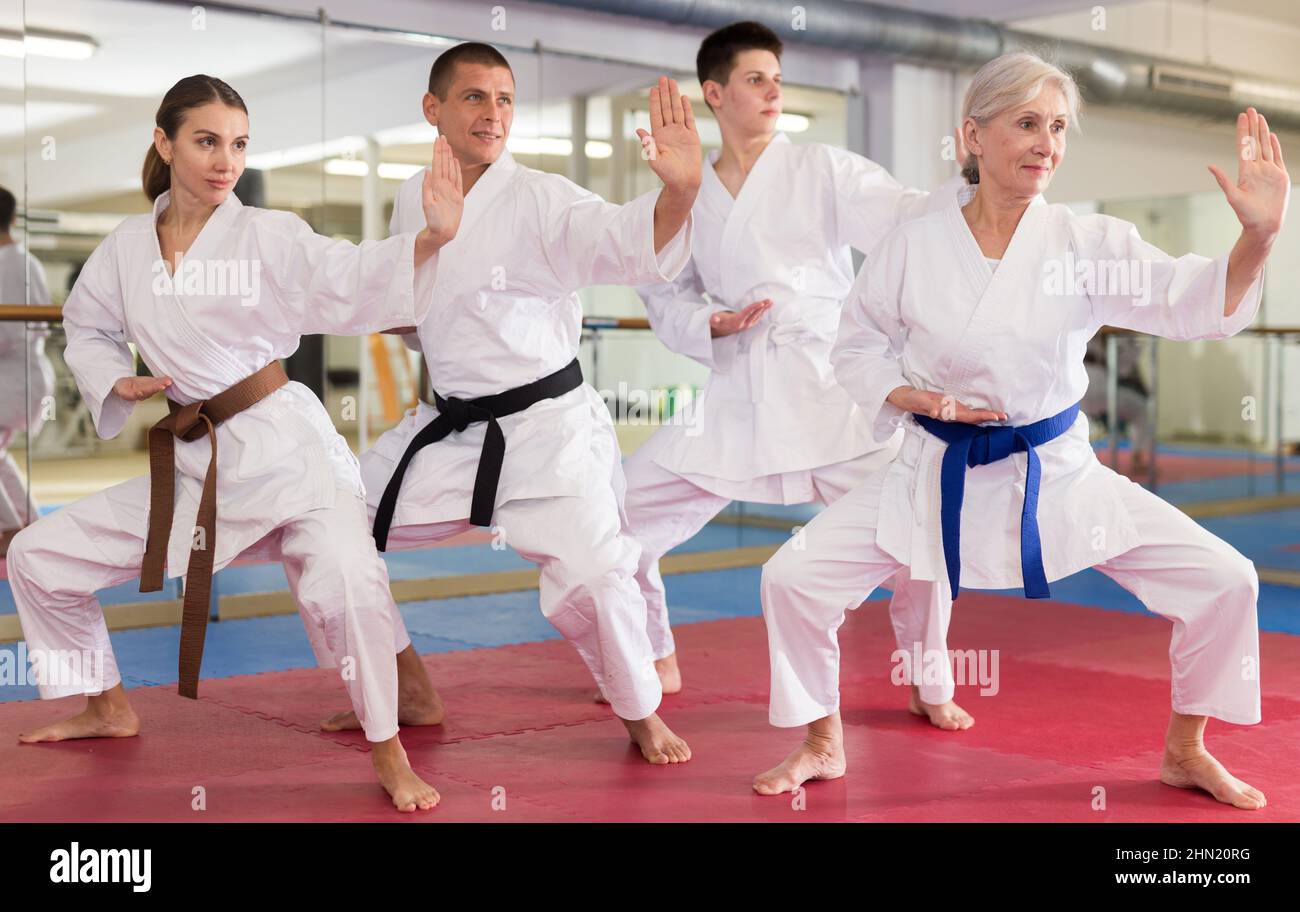 Performing karate hi-res stock photography and images - Alamy