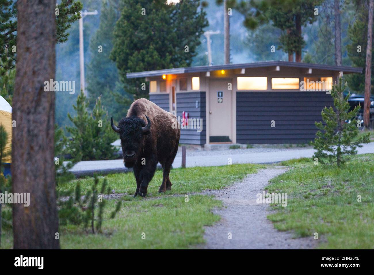 Camping ground hi-res stock photography and images - Alamy