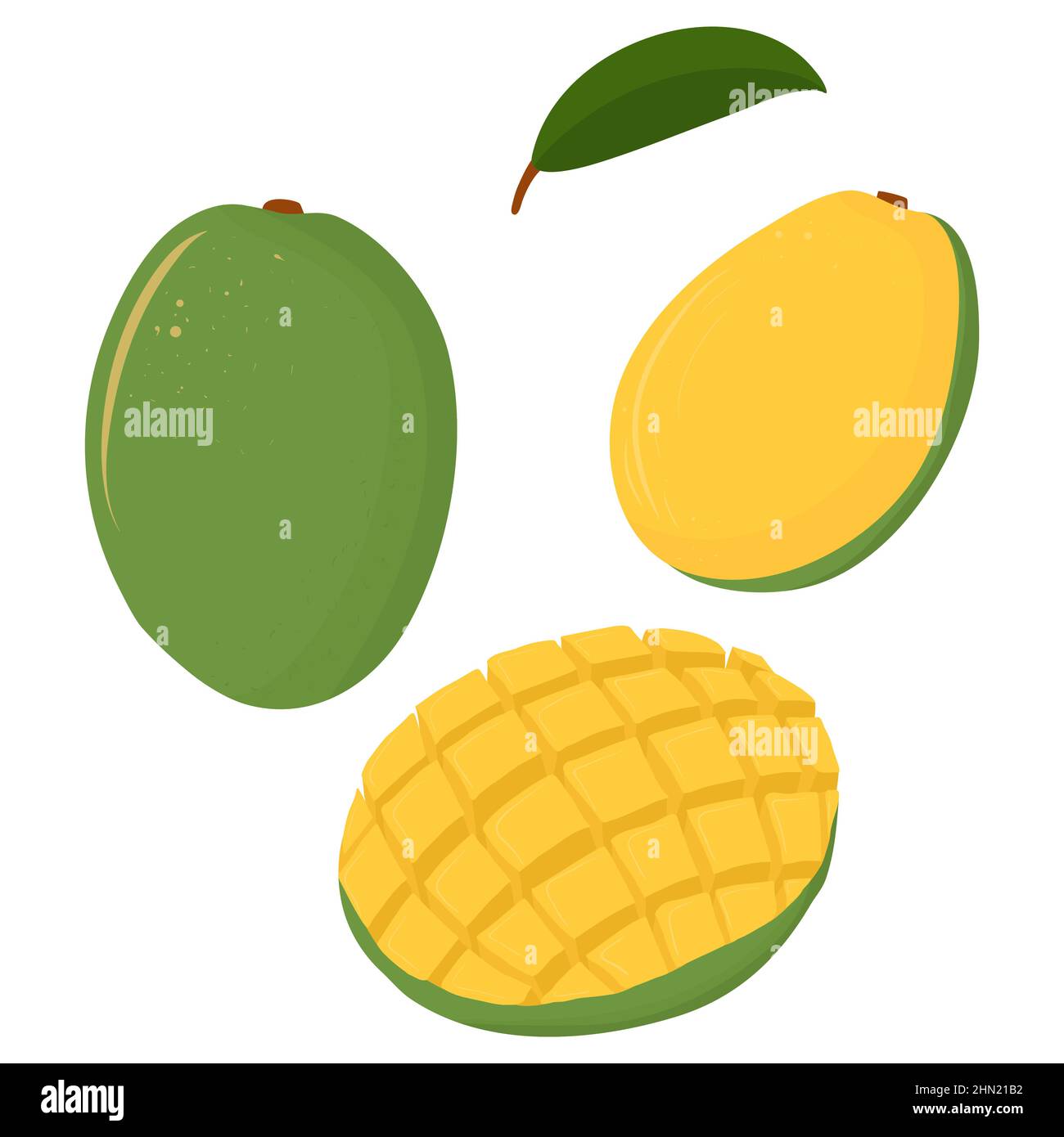 Cartoon illustration with colorful mango set. Farm market product ...