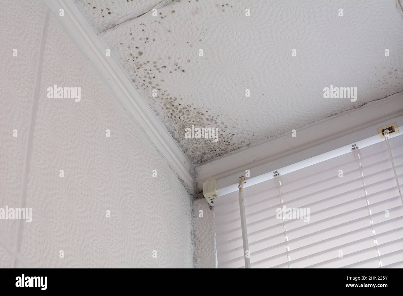 Poor quality windows. Due to poor ventilation, poor-quality ...