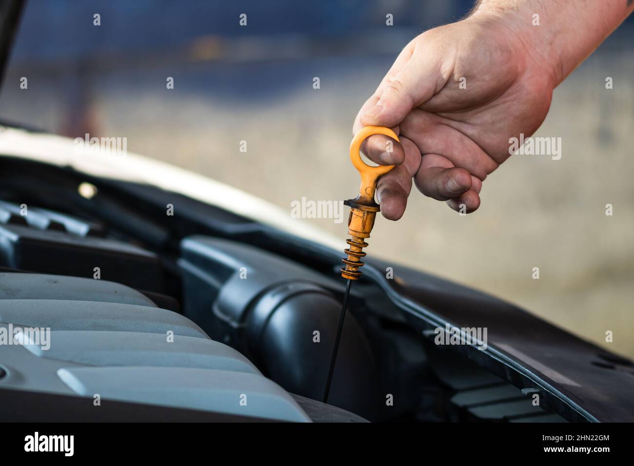 Car mechanic checking the engine oil level Stock Photo - Alamy
