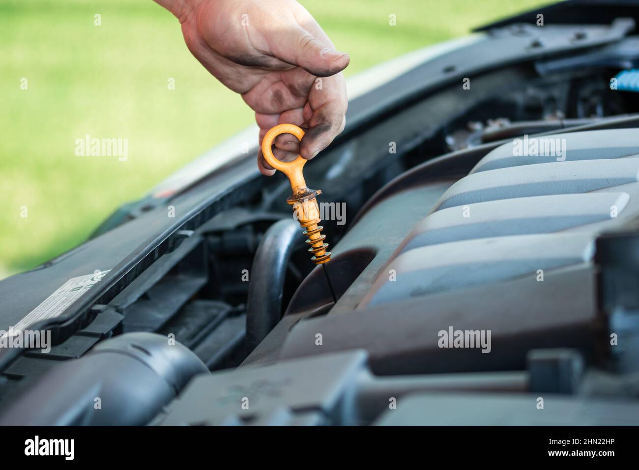 Car mechanic checking the engine oil level Stock Photo - Alamy