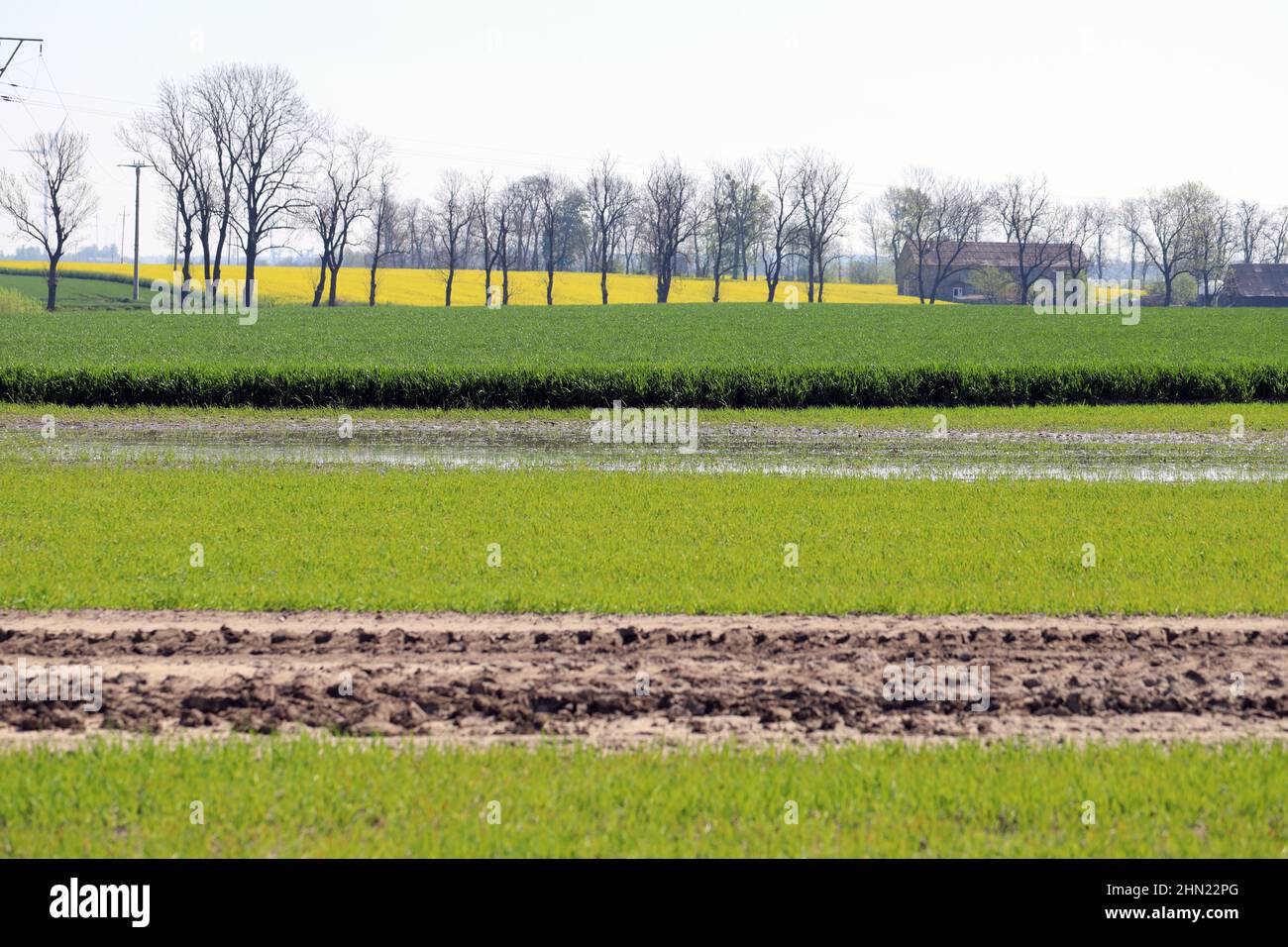 Agricultural landscape with green fields on hills in central Europe ...