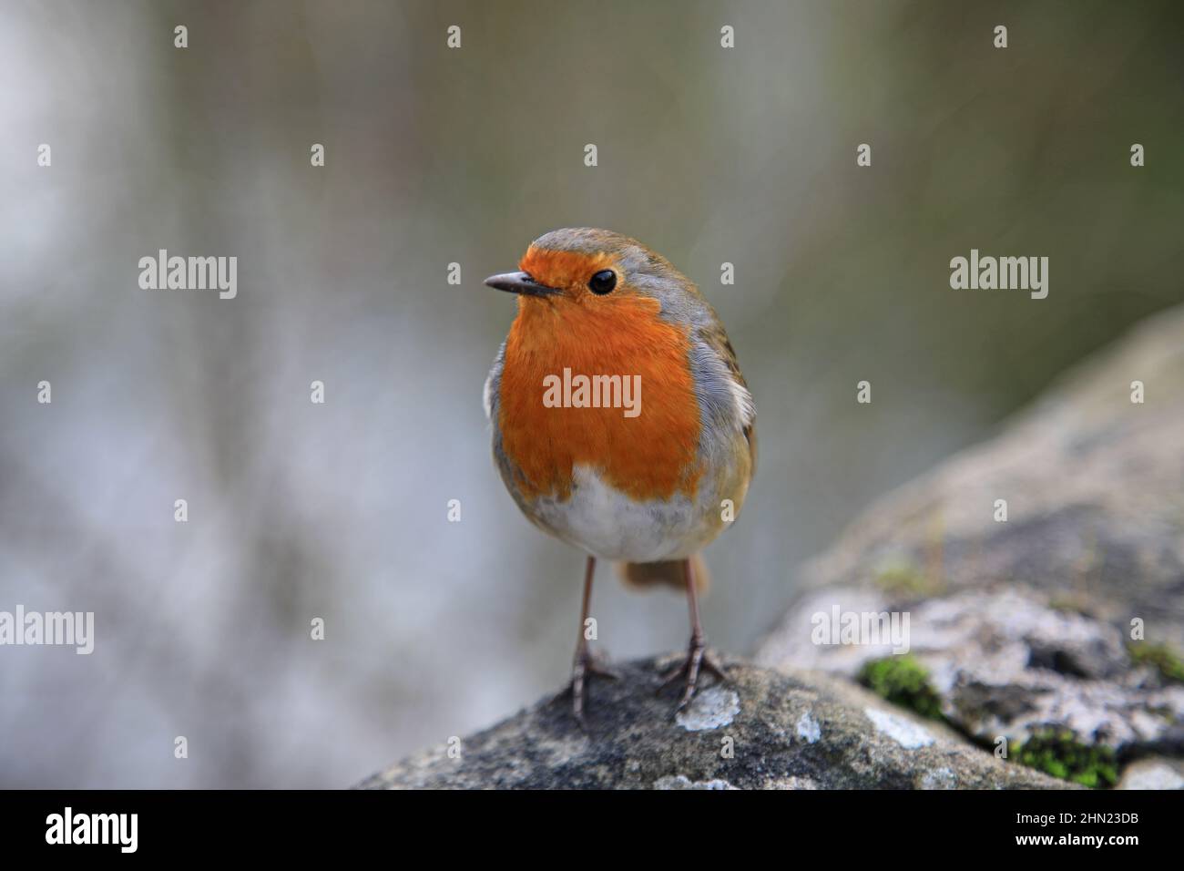 Over dale peak district hi-res stock photography and images - Alamy