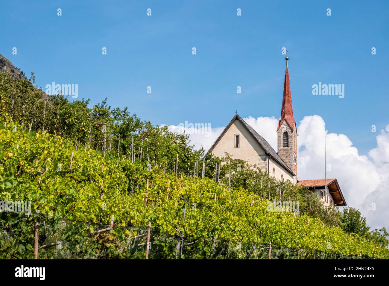 Dorfkirche mit Weinberg und Apfelplantage in Südtirol, Italien, village ...
