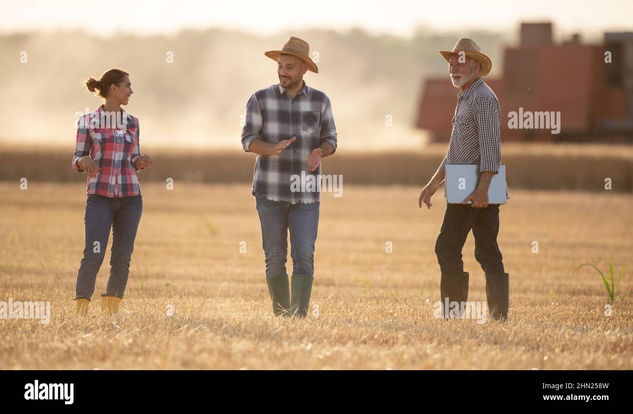Three farmers walking in field during harvest with combine harvester in ...