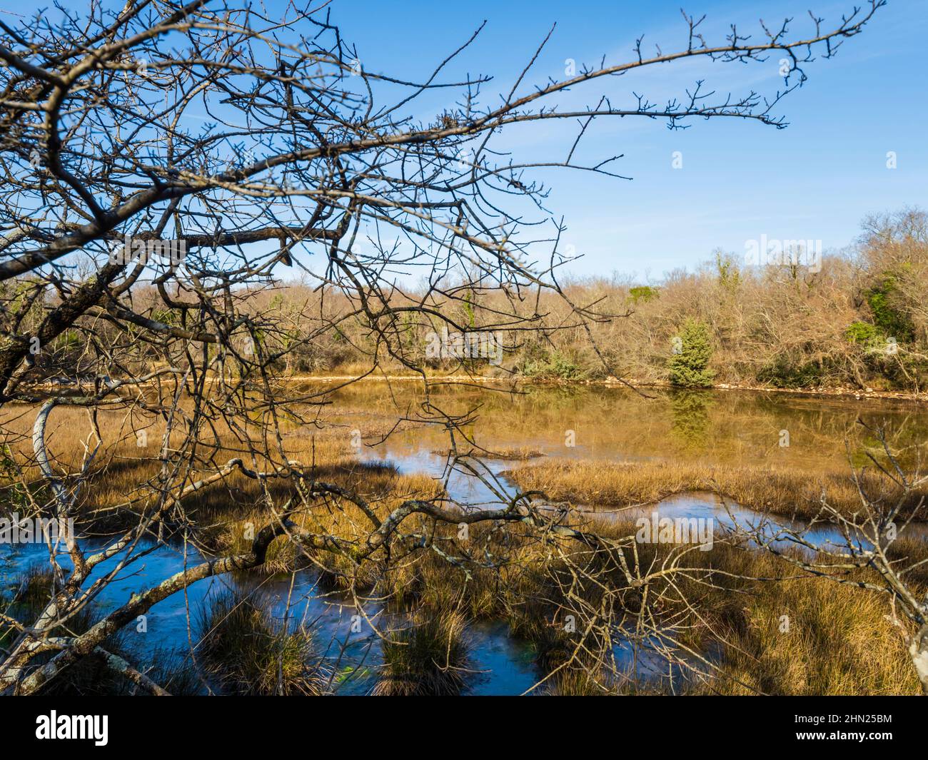Pond lokva Slatin on the Cape Cuf near Njivice island Krk in Croatia ...