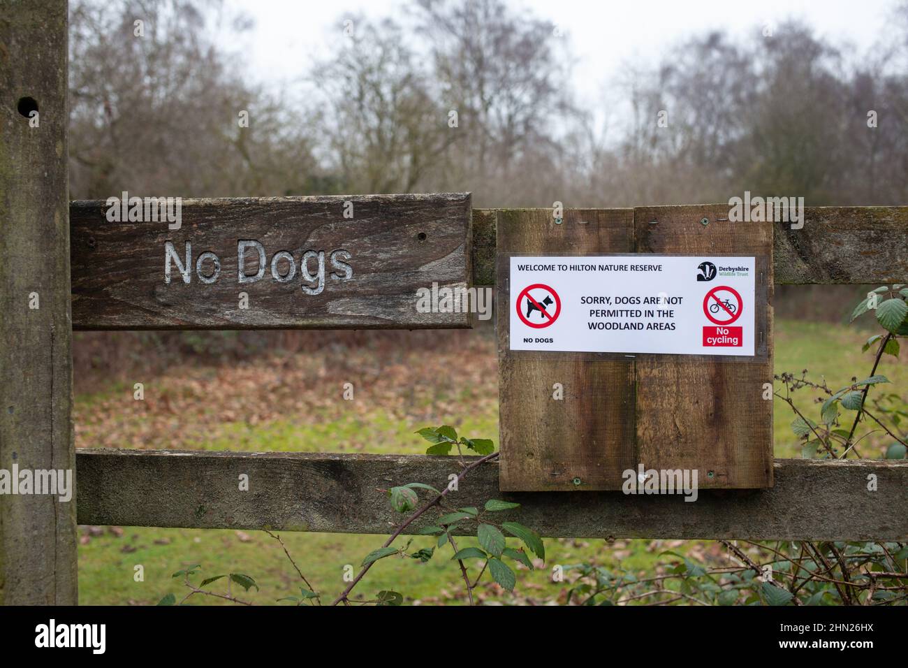 No Dogs sign at Hilton Nature Reserve. Derbyshire. England. UK Stock ...