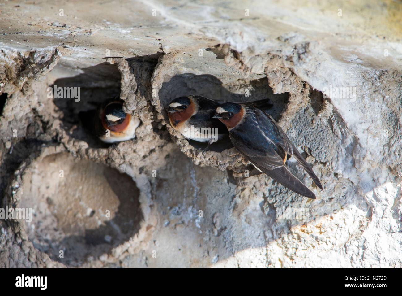 Under bridge hi-res stock photography and images - Alamy