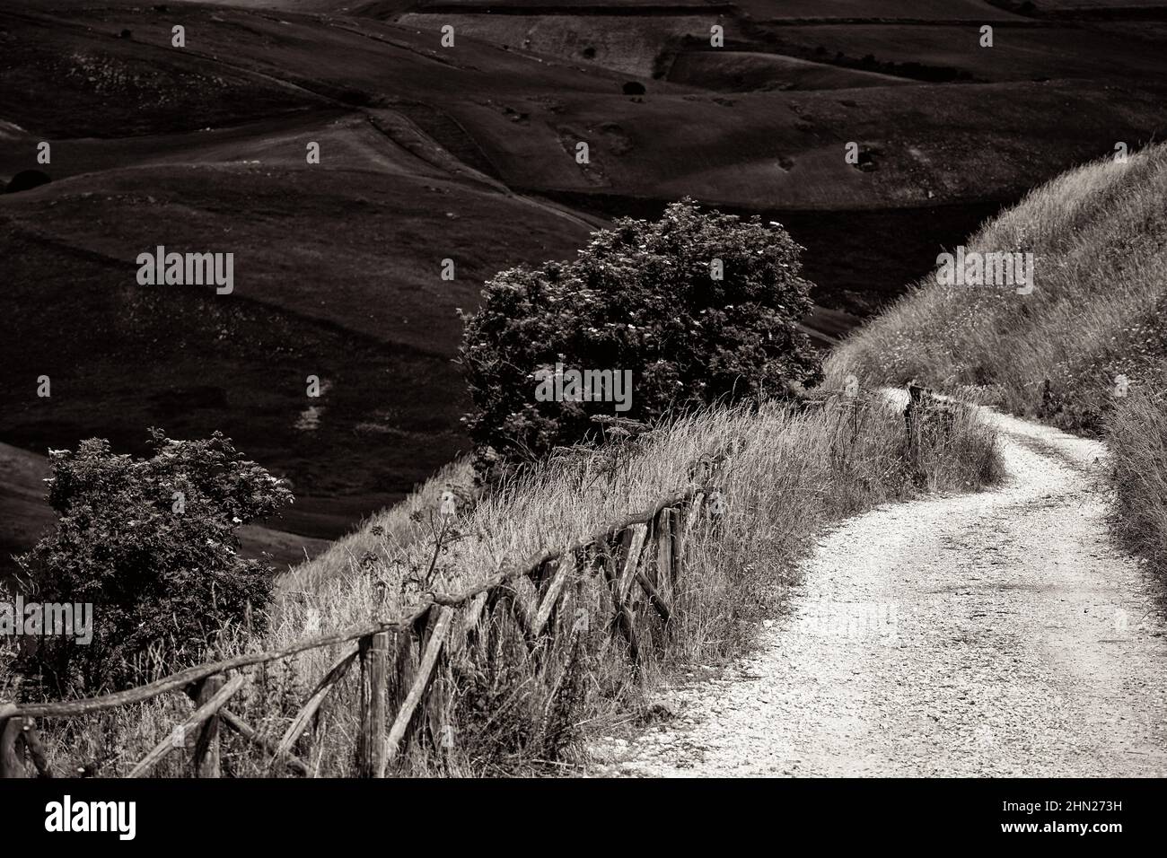 White dirt road leading hi-res stock photography and images - Alamy