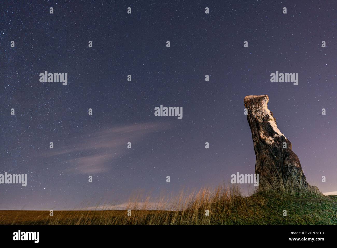 Closeup of a tree trunk in a field with a starry night background Stock ...