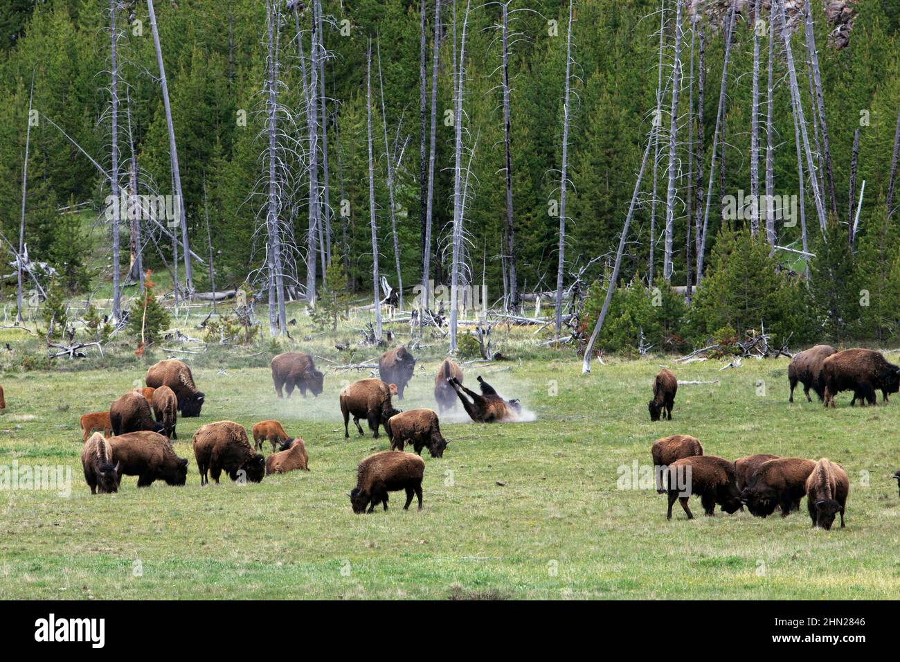 Madison valley area hi-res stock photography and images - Alamy