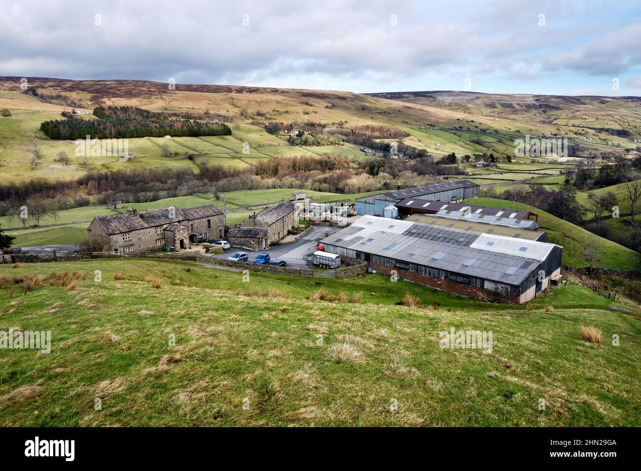 Are Dogs Allowed At Hall Hill Farm