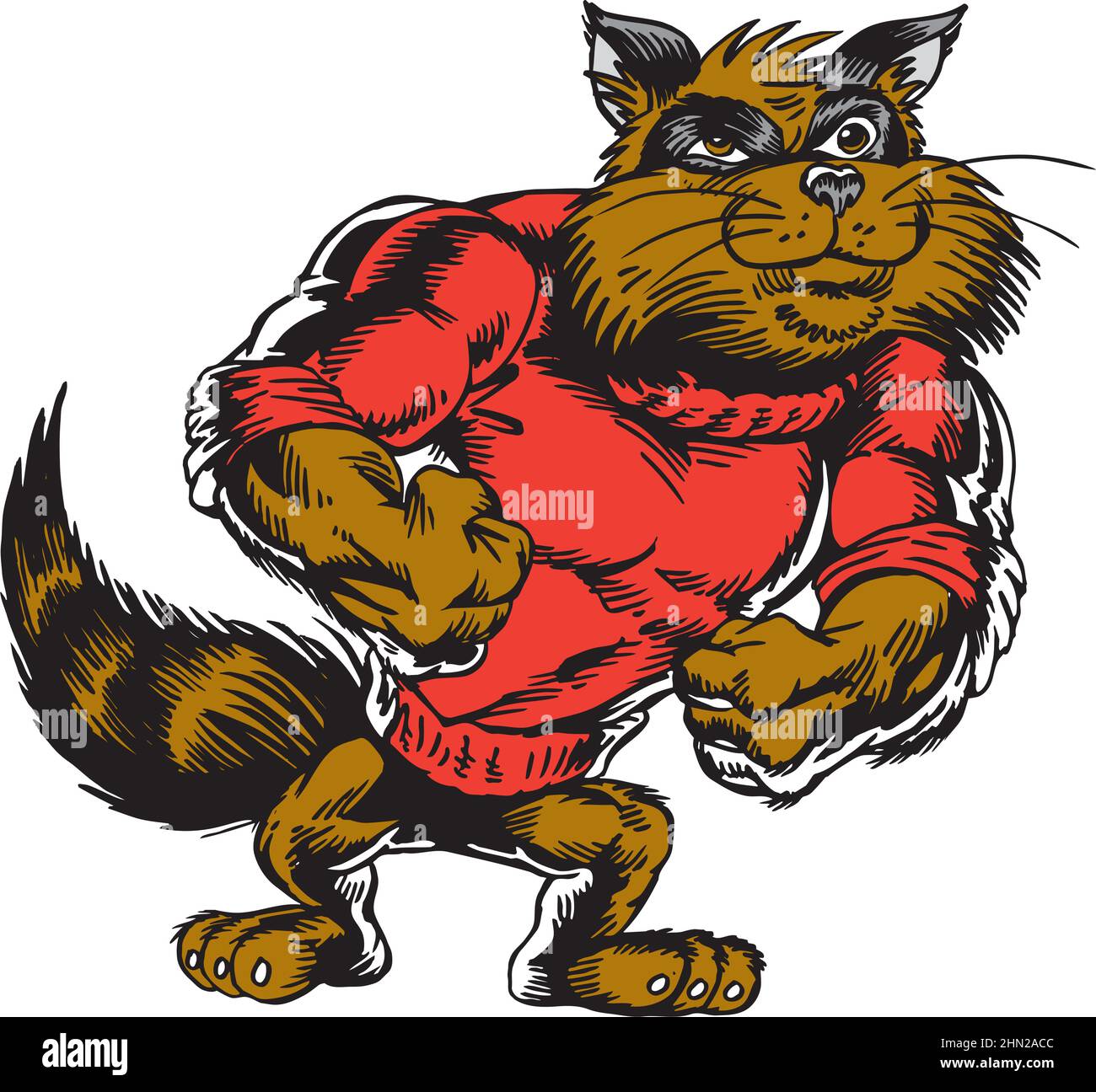 Raccoon Mascot Strut Vector Illustration Stock Vector Image & Art - Alamy