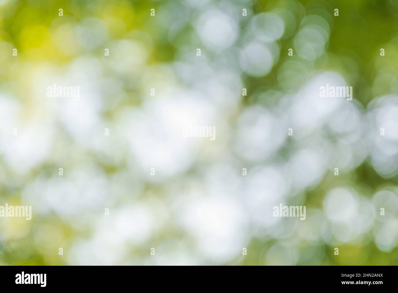 Blurred floral designs hi-res stock photography and images - Alamy