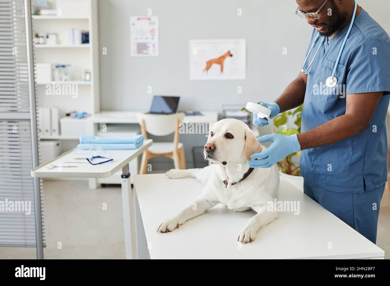 Hospital magnifying glass hi-res stock photography and images - Alamy